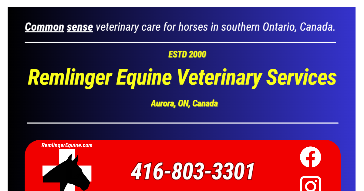 Robert Remlinger DVM Website